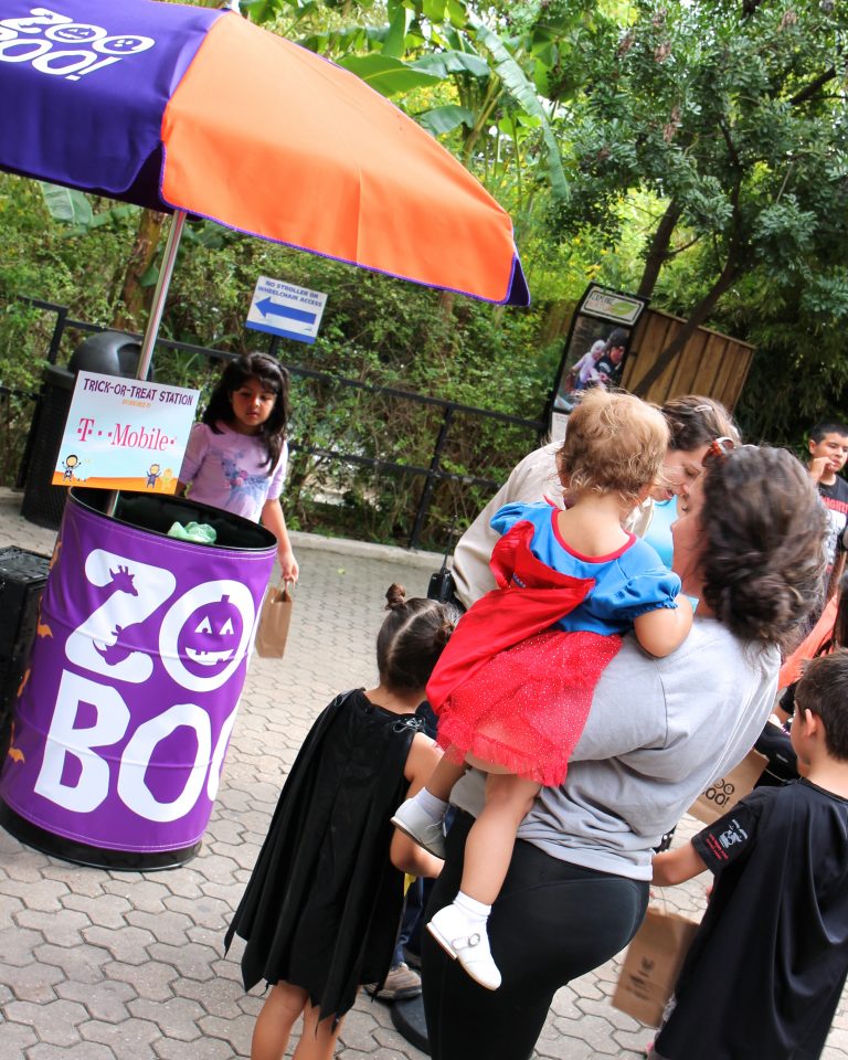 Haute Tip: Kick off Halloween with ZOO BOO! - Haute In Texas